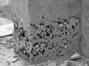 Preventing Segregation of Concrete: Expert Tips-2025 - KPSTRUCTURES.IN